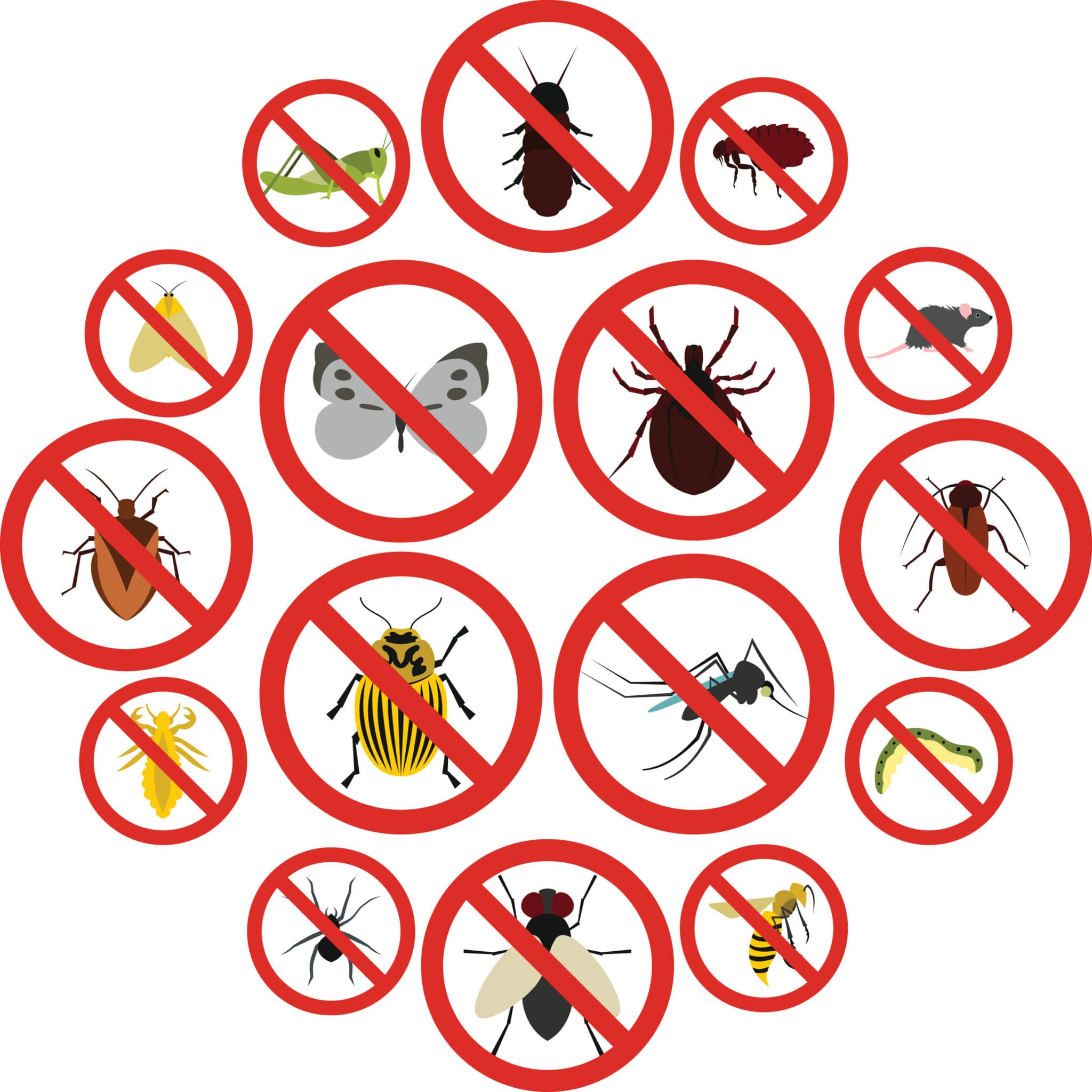 Flat no insect sign icons set. Universal no insect sign icons to use ...